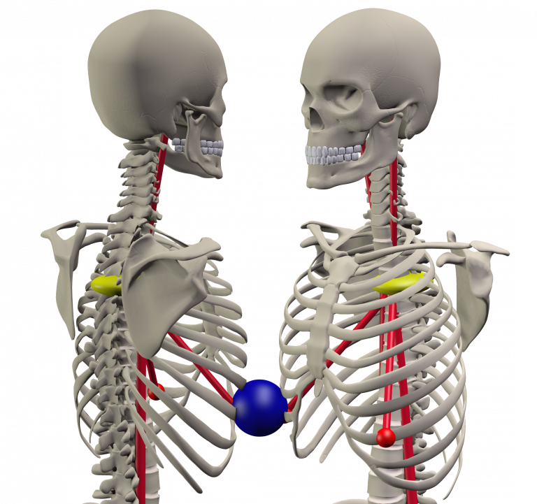 Communication Centre – Inner Body Art