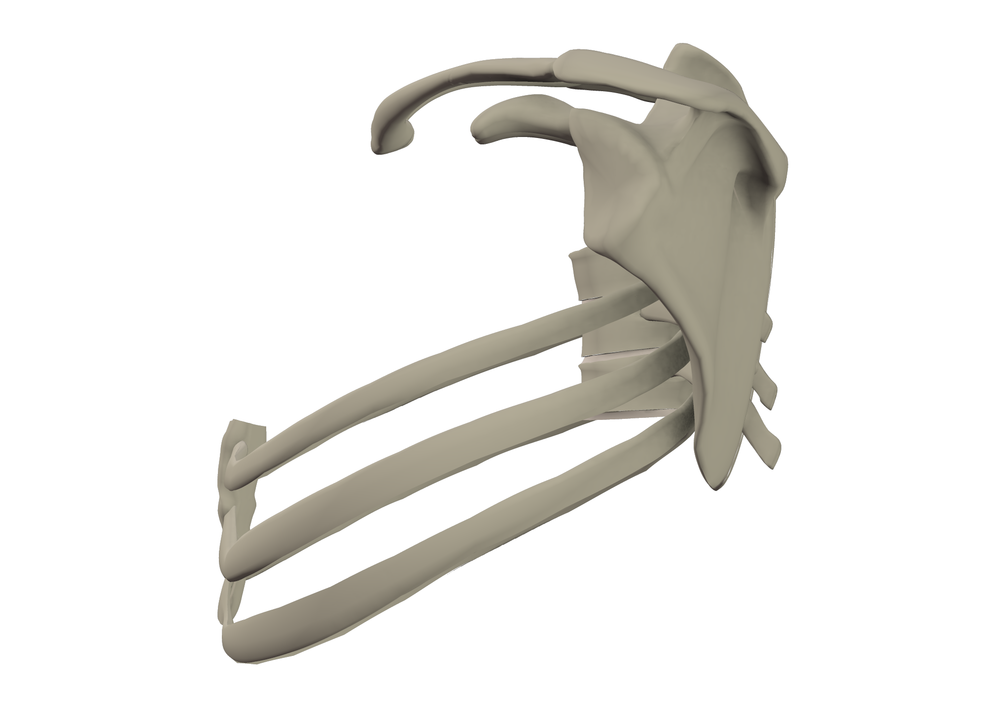 Details on Action Areas – Inner Body Art