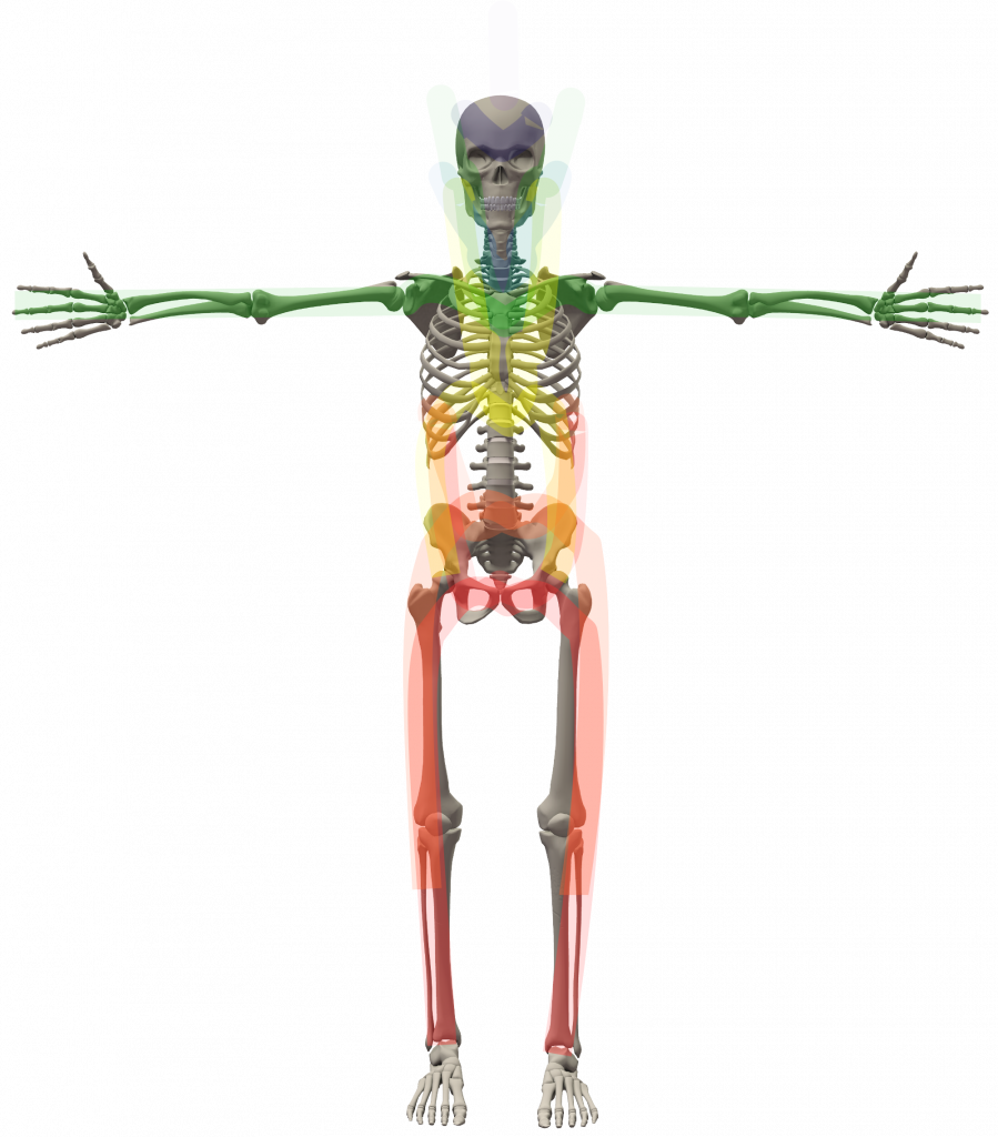 Chakras and Inside Space – Inner Body Art